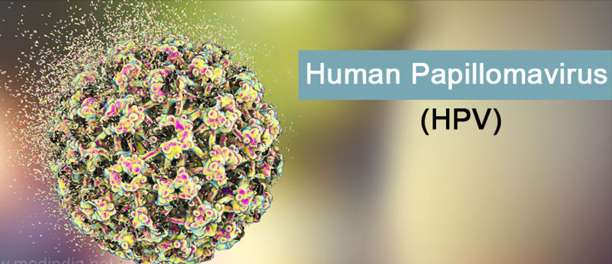Human Papillomavirus (HPV) - AnmupHD