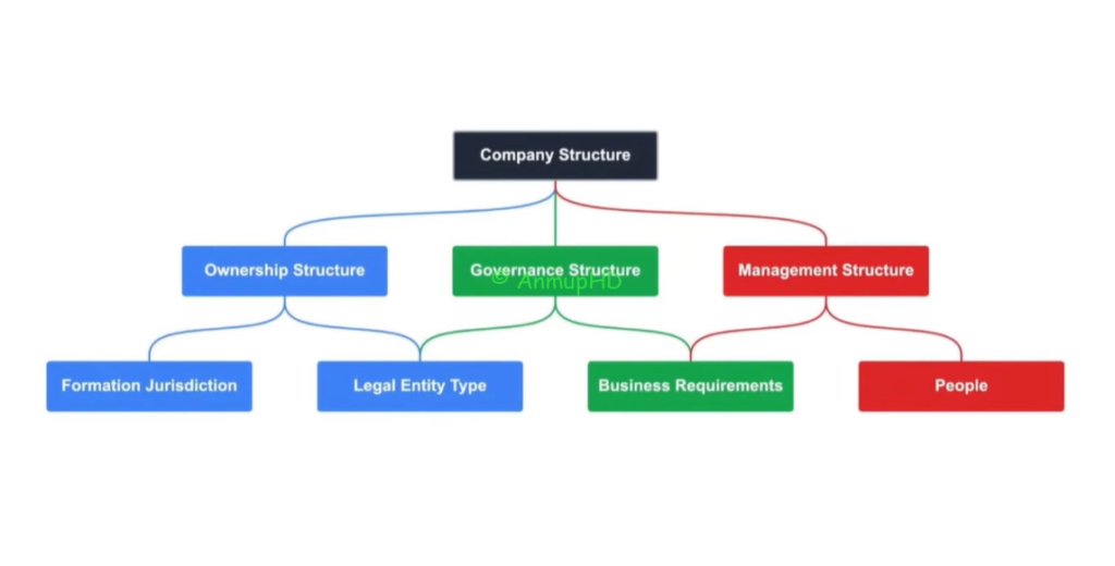 Business Structure - AnmupHD